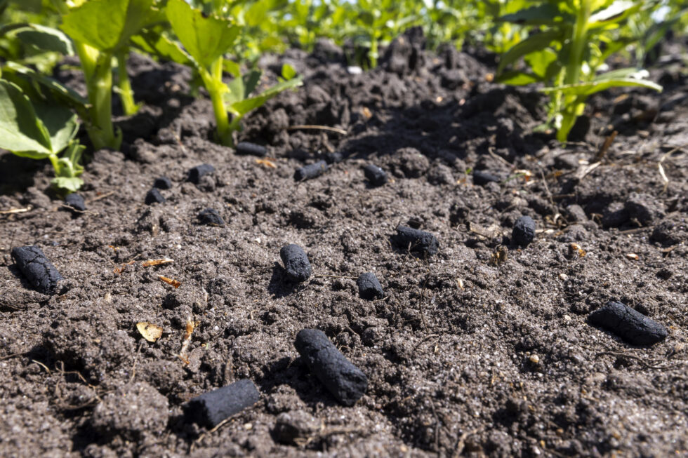 SkyClean | 20 MW Pyrolysis