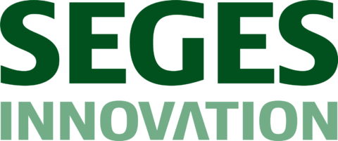 SkyClean | 20 MW Pyrolysis